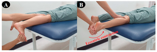 Three-Dimensional Ankle Exercise with Combined Isotonic Technique for ...