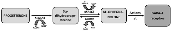 Are Mutations in the DHRS9 Gene Causally Linked to Epilepsy? A Case Report