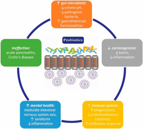 Probiotics: Versatile Bioactive Components in Promoting Human Health