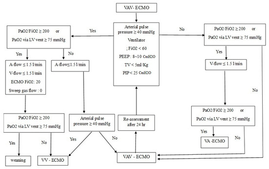 Veno-Arterial-Venous Extracorporeal Membrane Oxygenation in a ...