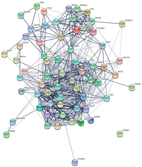 Medicina | Free Full-Text | TET2/IDH1/2/WT1 and NPM1 Mutations Influence the RUNX1 Expression ...