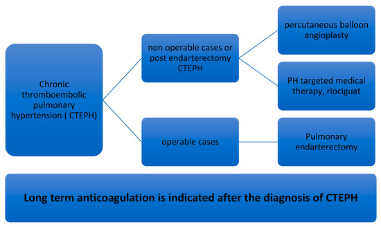 Revisiting a Distinct Entity in Pulmonary Vascular Disease: Chronic ...