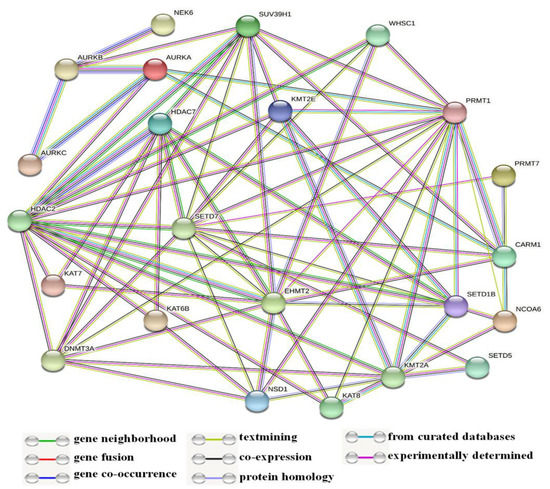 Medicina | Free Full-Text | Effect of the HDAC Inhibitor on Histone ...