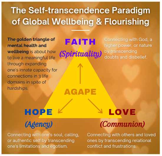 Existential Suffering in Palliative Care: An Existential Positive ...