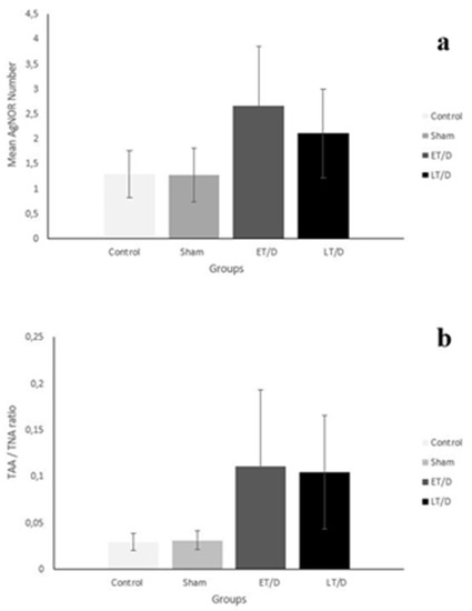 May Argyrophilic Nucleolar Organizer Regions Be Used as a Biomarker for ...