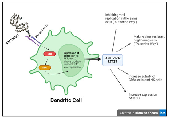 Host Defenses to Viruses: Lessons from Inborn Errors of Immunity