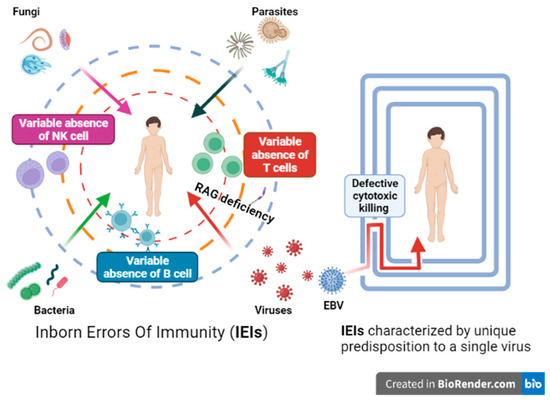 Host Defenses to Viruses: Lessons from Inborn Errors of Immunity