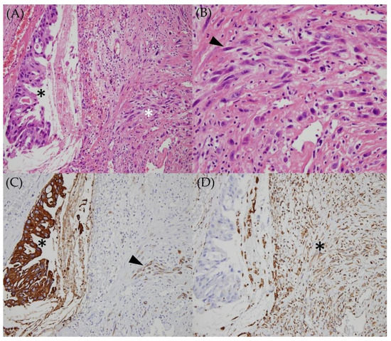 Human Anatomy and Pathophysiology