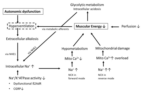 Dyspnea in Post-COVID Syndrome following Mild Acute COVID-19 Infections ...