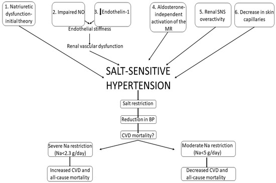 Medicina | Free Full-Text | Salt, Not Always a Cardiovascular Enemy? A ...