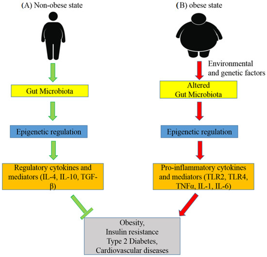 Epigenetic Regulation of Obesity-Associated Type 2 Diabetes