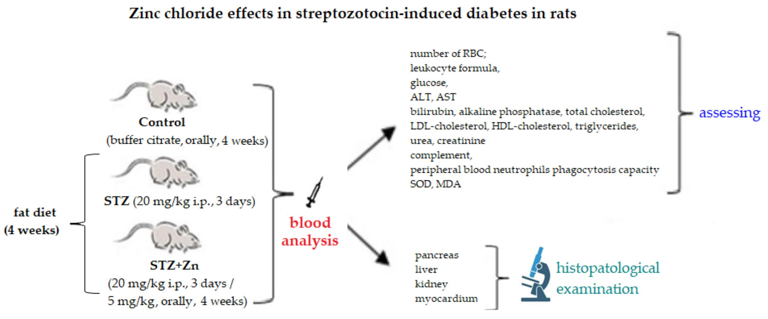 Medicina | Free Full-Text | Zinc Chloride Enhances the Antioxidant ...