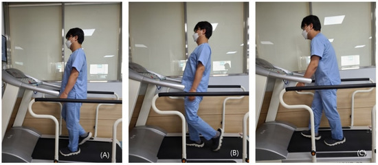 Changes in Trunk Muscle Activity during Unilateral Weight Bearing and ...