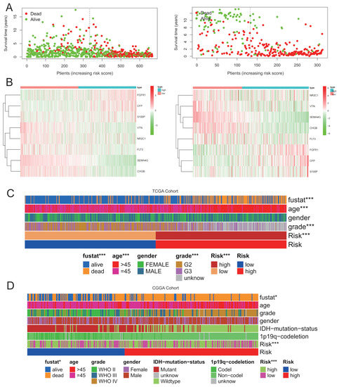 A Novel Immune Gene-Related Prognostic Score Predicts Survival and ...
