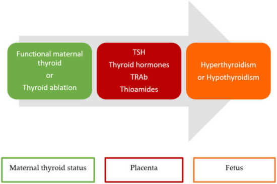 Diagnosis and Management of Fetal and Neonatal Thyrotoxicosis
