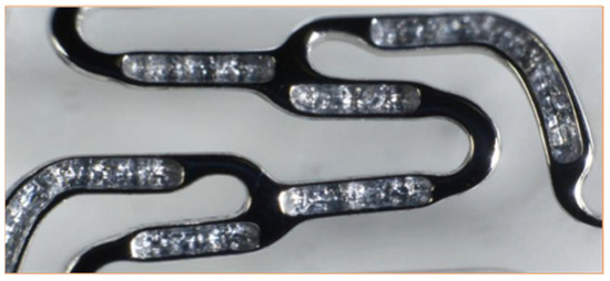 Polymer Free Amphilimus Drug Eluting Stent for Infrapopliteal Arterial ...