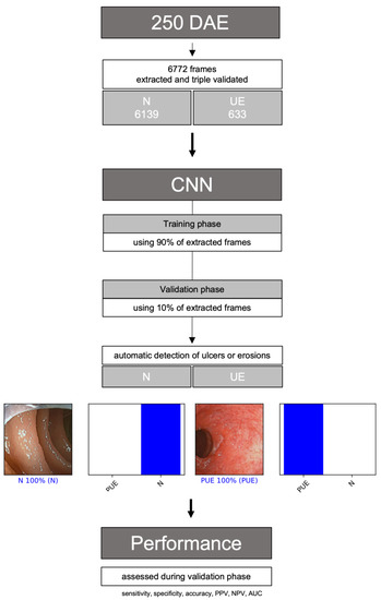 Deep-Learning and Device-Assisted Enteroscopy: Automatic Panendoscopic Detection of Ulcers and ...