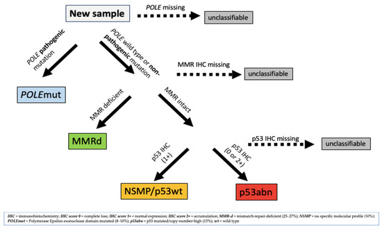 Fertility Preservation in Endometrial Cancer—Treatment and Molecular ...