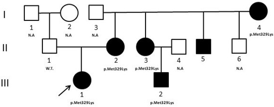 The Pathogenic Diagnosis in Pediatric Diabetology: Next Generation ...