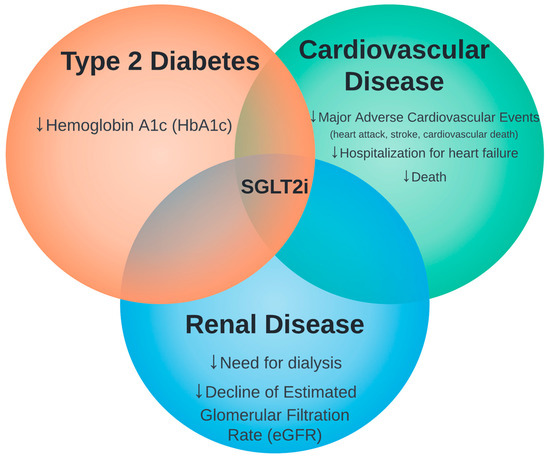 SGLT2 Inhibitors: The Next Blockbuster Multifaceted Drug?
