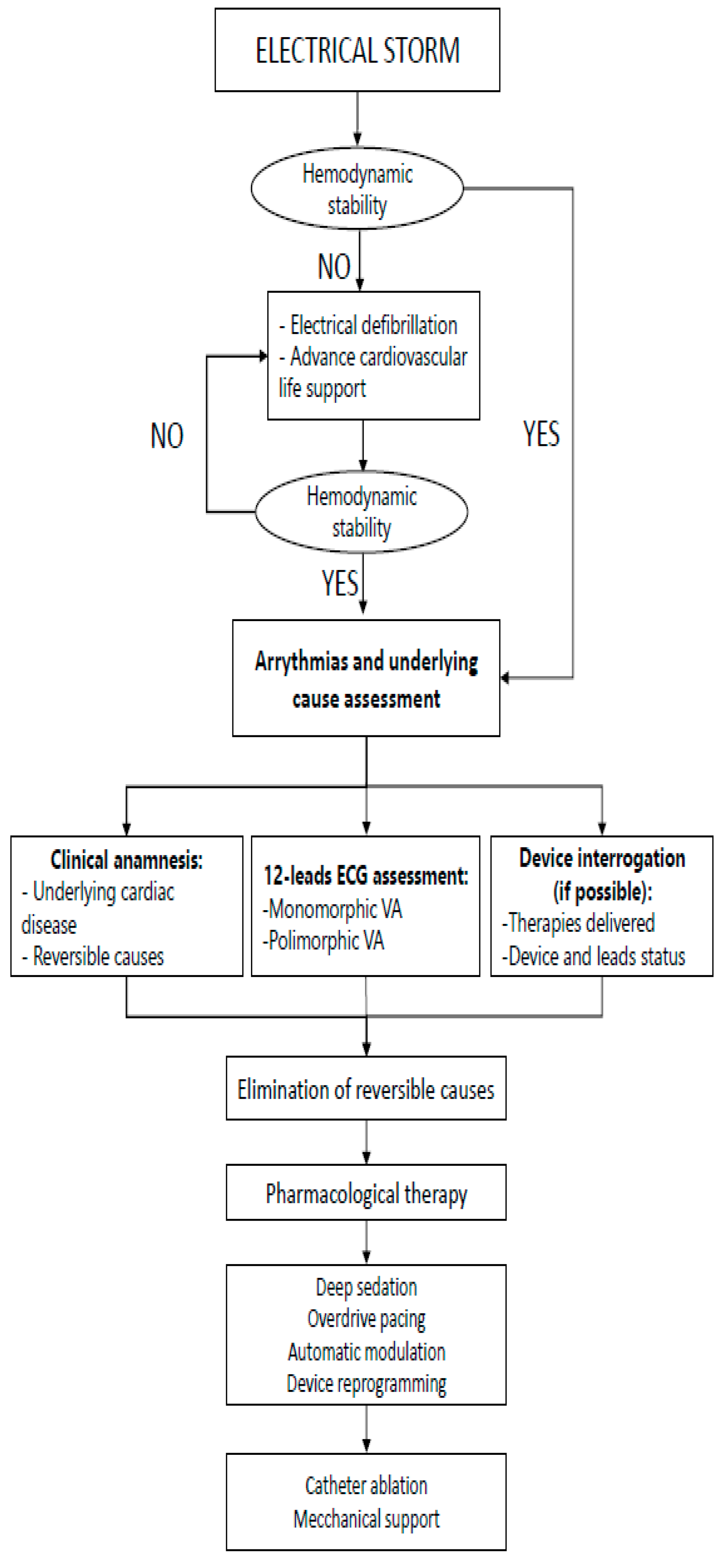 Emergency Management of Electrical Storm: A Practical Overview