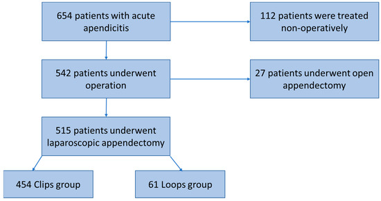 Self-Locking Polymeric Clips Are Safe for the Closure of Appendiceal ...