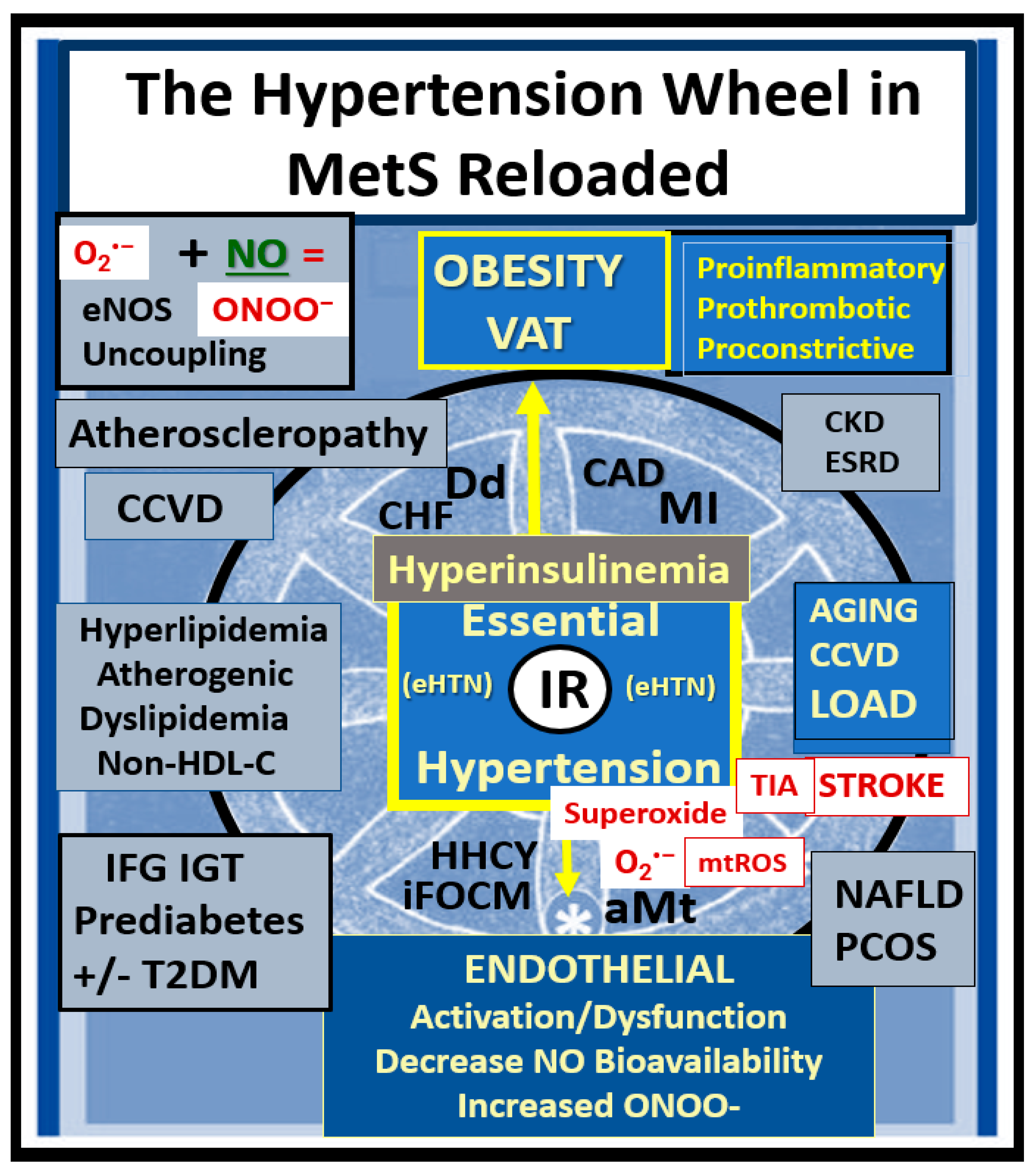 Medicina Free Full Text Overview And New Insights Into The