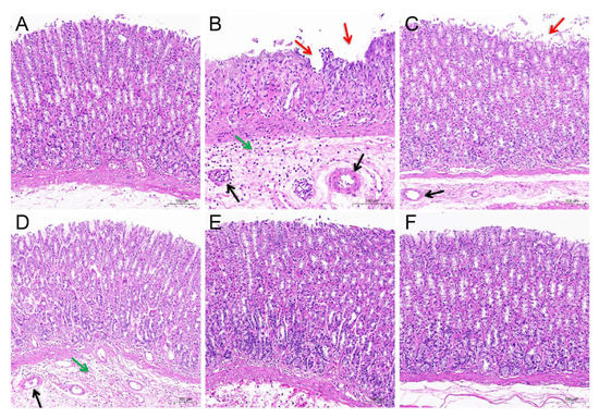 Pharmacological Mechanism of Aucklandiae Radix against Gastric Ulcer ...