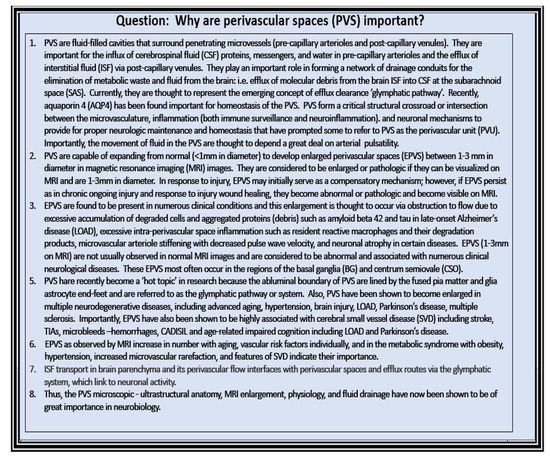 Why Are Perivascular Spaces Important?