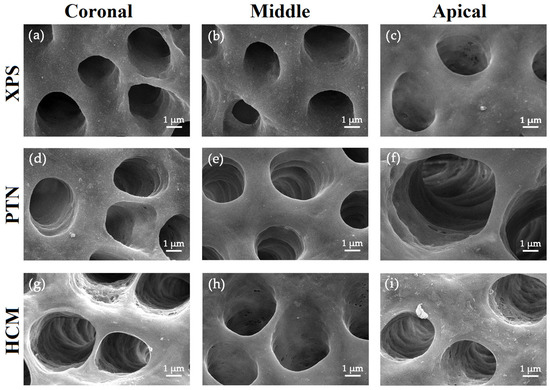 Medicina | Free Full-Text | Cleaning and Disinfecting Oval-Shaped Root ...