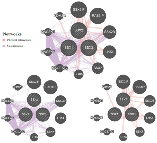 Medicina | Free Full-Text | Higher Expression Levels of SSX1 and SSX2 ...