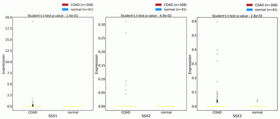Medicina | Free Full-Text | Higher Expression Levels of SSX1 and SSX2 ...