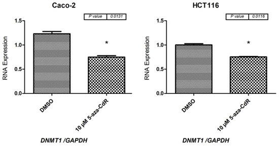 Medicina | Free Full-Text | Higher Expression Levels of SSX1 and SSX2 ...