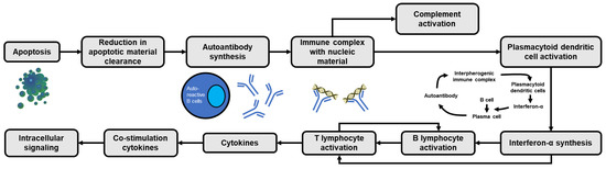 Medicina | Free Full-Text | Disentangling the Pathogenesis of Systemic Lupus Erythematosus ...