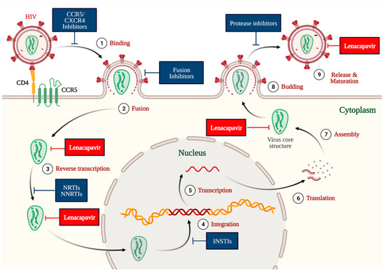 Highlights on the Development, Related Patents, and Prospects of ...