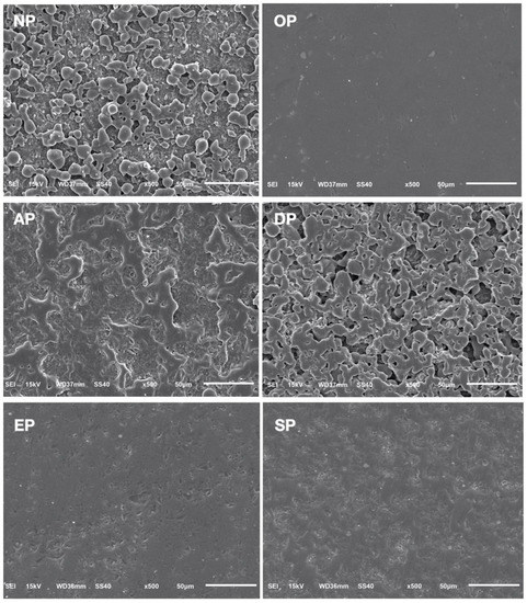 Ceramic versus Composite Resin Polishing Systems on the Surface ...