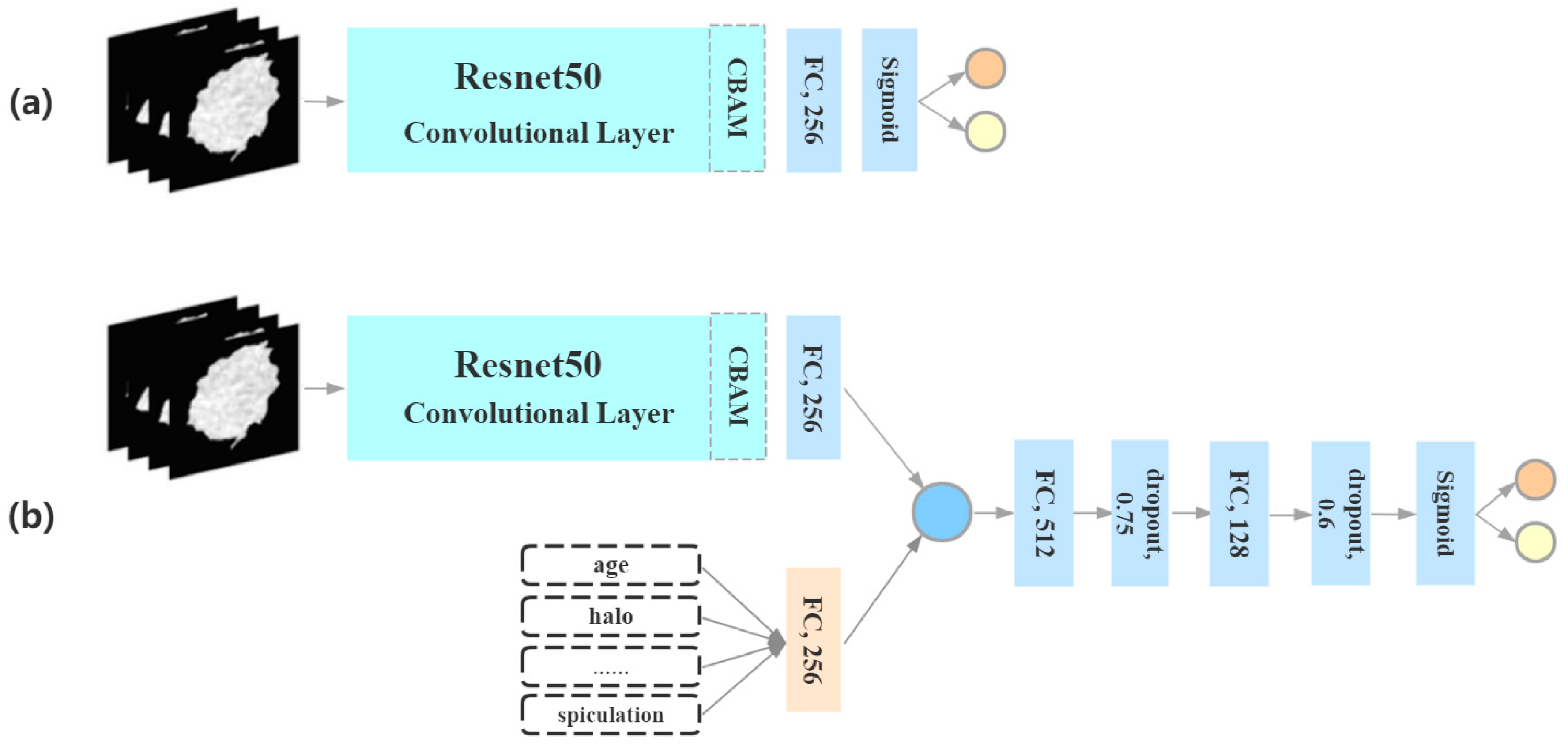 Deep-Learning Model of ResNet Combined with CBAM for Malignant–Benign Pulmonary Nodules ...