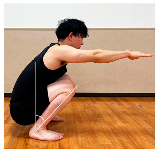 Relationship between the Young’s Modulus of the Achilles Tendon and ...