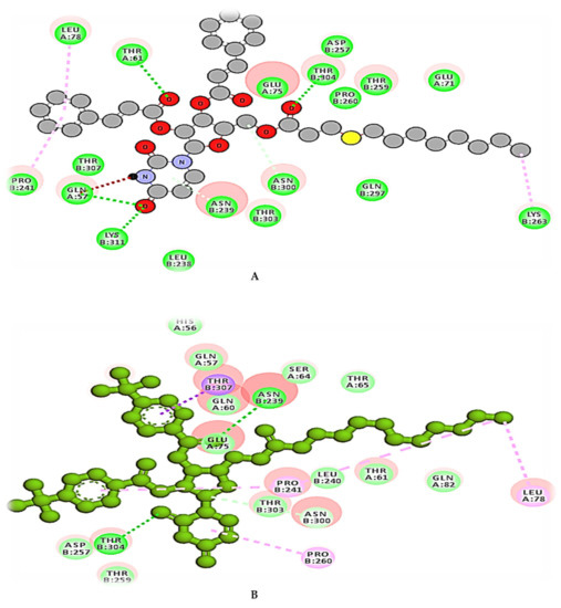 Uridine Derivatives: Synthesis, Biological Evaluation, and In Silico ...