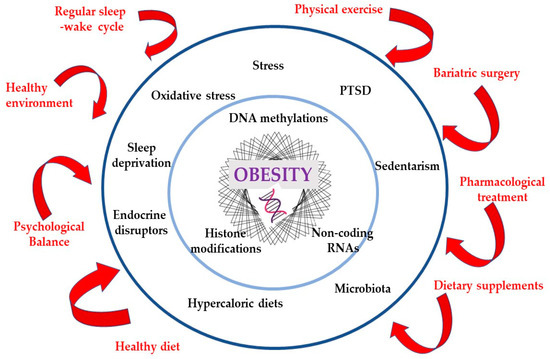 360-Degree Perspectives on Obesity