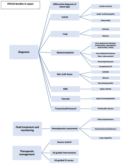Point-of-Care Ultrasound: A Multimodal Tool for the Management of ...