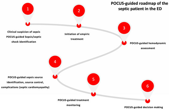 Point-of-Care Ultrasound: A Multimodal Tool for the Management of ...