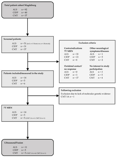 Medicina | Free Full-Text | Peripheral Nerve Ultrasound for the ...