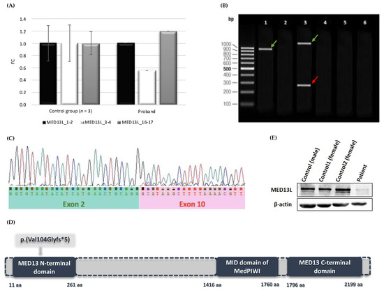 Molecular and Functional Characterisation of a Novel Intragenic 12q24 ...