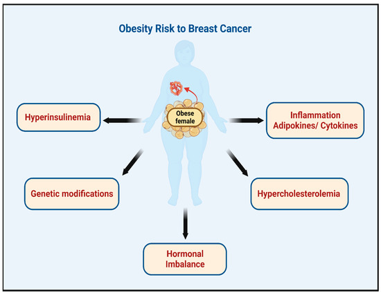 The Molecular and Genetic Interactions between Obesity and Breast ...