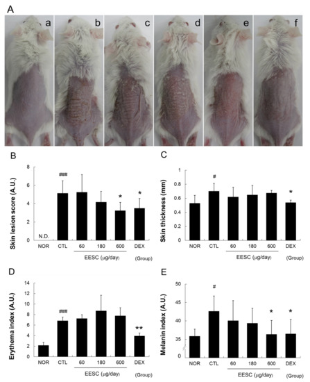 Medicina | Free Full-Text | The Anti-Inflammatory and Skin Barrier ...