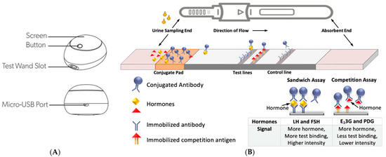 Establishing a Gold Standard for Quantitative Menstrual Cycle Monitoring