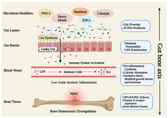 From Cells to Environment: Exploring the Interplay between Factors ...