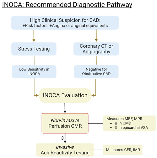 Evaluation of Ischemia with No Obstructive Coronary Arteries (INOCA ...