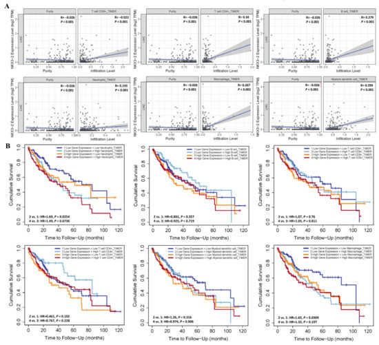 Comprehensive Analysis of NKX3.2 in Liver Hepatocellular Comprehensive Analysis of NKX3.2 in Liver Hepatocellular